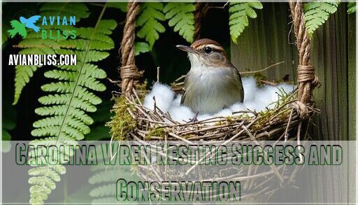 Carolina Wren Nesting Secrets: Tips for a Thriving Bird Haven