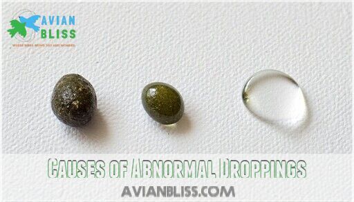 Finch Unusual Droppings Symptoms: Key Signs You Should Never Ignore