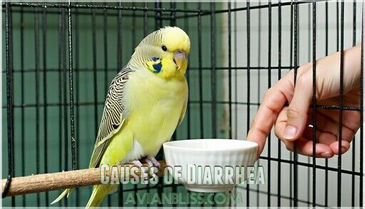 Causes of Diarrhea in Birds: 7 Critical Signs Every Owner Must Know