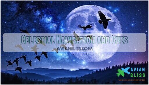 Factors Influencing Bird Migration: Climate, Navigation & Survival