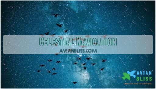 Bird Migration Routes Explained: Complete Guide to Flyways & Patterns