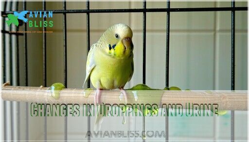 Sick Bird Not Eating? Signs, Causes, and How to Help Your Feathered Friend