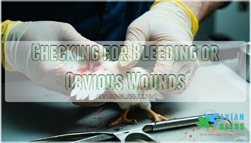 Avian Broken Wing Treatment: Emergency Care Steps That Save Lives