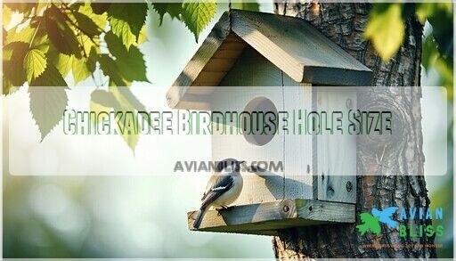 What Size Hole Birdhouse: Complete Species Guide & Chart 2025