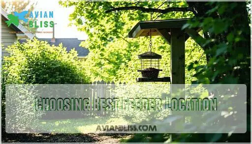 Bird Feeder Placement Tips