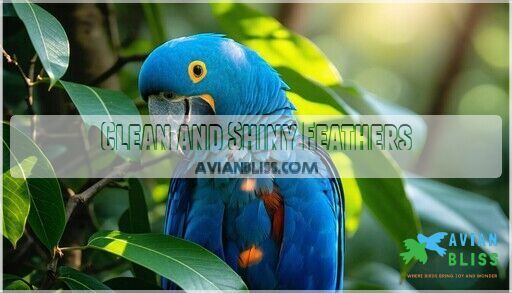 Signs of Healthy Bird Hygiene: 7 Critical Warning Signs You're Missing