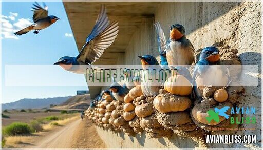 Exploring Ohio's Fascinating Swallow Species: A Photo Guide