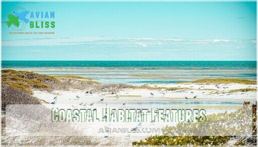 What is Ideal Bird Habitat: 7 Essential Features Every Bird Needs