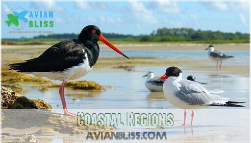 Birds With Red Beaks: 25 Stunning Species (Photos & Facts)