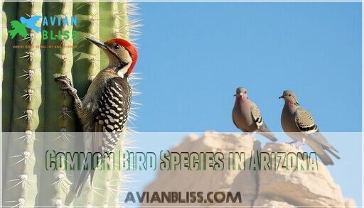 15 Must-See Birds in Arizona: Discover Native Species & Hotspots