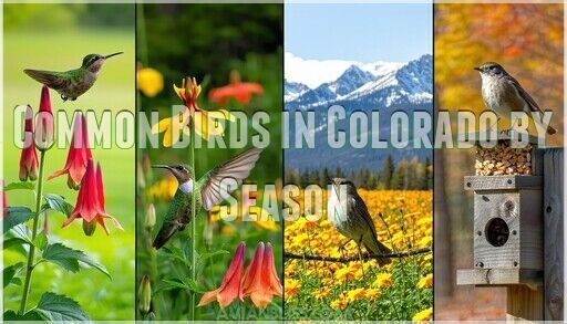 Backyard Birds of Colorado: 25+ Species You'll See in Your Yard