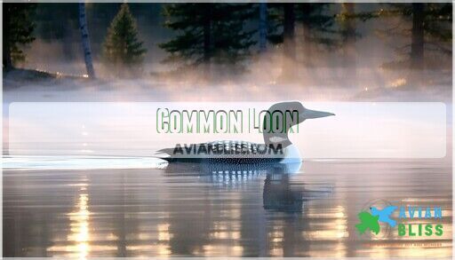 Night Birds in Pennsylvania: 12 Species & Where to Find Them (2025)