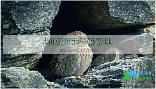 Do Birds Hibernate or Migrate? The Surprising Truth About Winter Birds