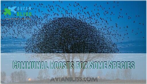 Do Birds Fly at Night? Surprising Nocturnal Flight Secrets Revealed