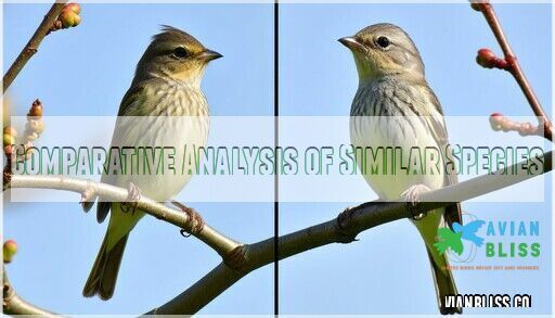 Bird Identification Guide for Songbirds: Expert Tips & Techniques
