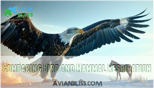 How Does a Bird Get Oxygen? The Amazing Respiratory System Revealed