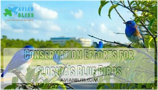 Blue Birds in Florida: 12 Stunning Species Guide (+Photos)