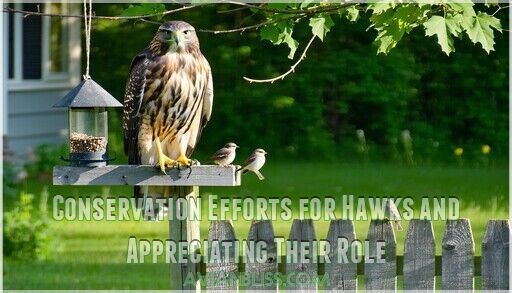 Why is There a Hawk in My Yard? Expert Tips to Protect Birds