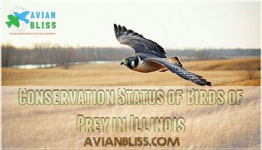 Illinois Birds of Prey: 19 Species Guide With Photos (2025)