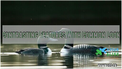 Pacific Loon: Complete Guide to ID, Habitat, Behavior & Conservation