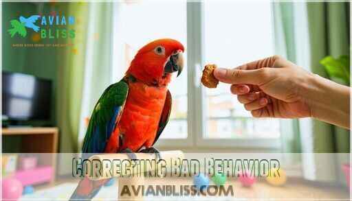 Common Bird Behavior Problems: Simple Solutions That Actually Work