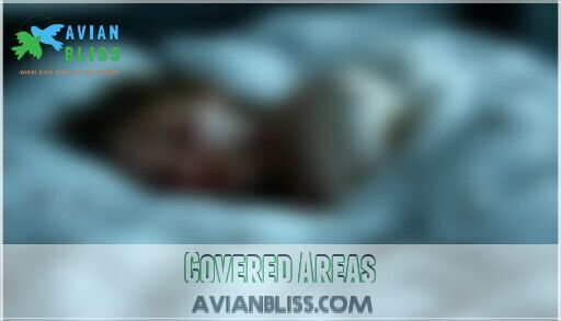 Are Bird Mites Harmful? Risks, Bites & Treatment Guide 2025