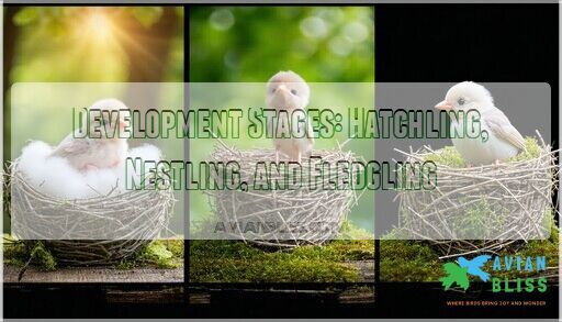 Baby Birds: Complete Guide to Care, Identification & Development