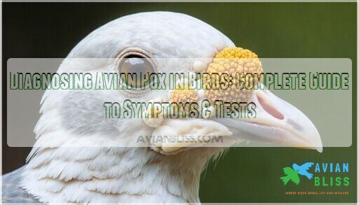 Diagnosing Avian Pox in Birds: Complete Guide to Symptoms & Tests
