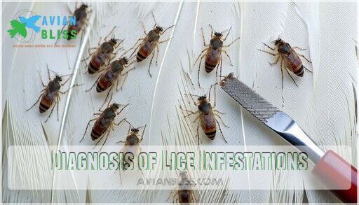 Avian Mite and Lice Control: Expert Guide to Safe Treatment