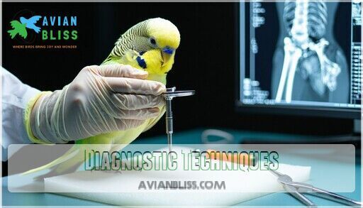 Bird Leg Problems and Treatment: Causes, Symptoms, and Effective Care