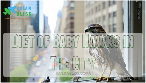 What Do Hawks Eat in The City? Urban Prey & Hunting Secrets!