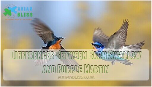 Swallows in Illinois: 7 Species You Must See This Spring!