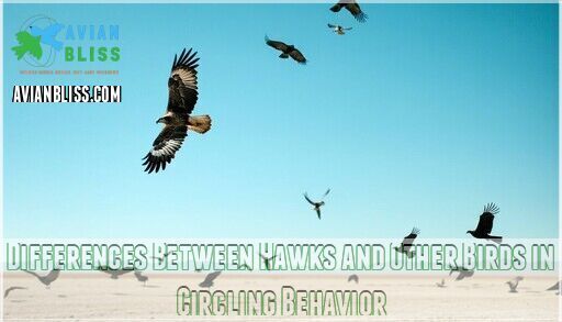 Why Do Hawks Circle? The Hidden Science Behind Their Flight