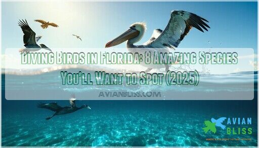 Diving Birds in Florida: 8 Amazing Species You'll Want to Spot (2025)
