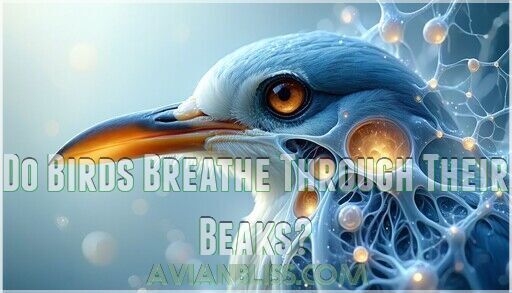 How Does a Bird Get Oxygen? The Amazing Respiratory System Revealed