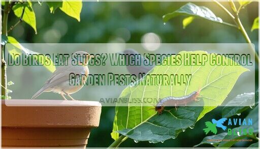 Do Birds Eat Slugs? Which Species Help Control Garden Pests Naturally