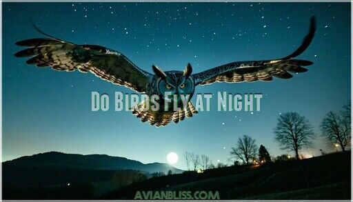 Do Birds Fly at Night? Surprising Nocturnal Flight Secrets Revealed