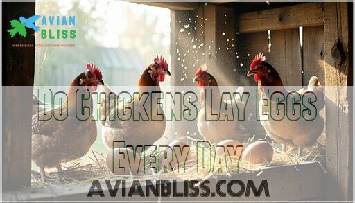 How Often Do Chickens Lay Eggs? Daily Production Secrets Revealed