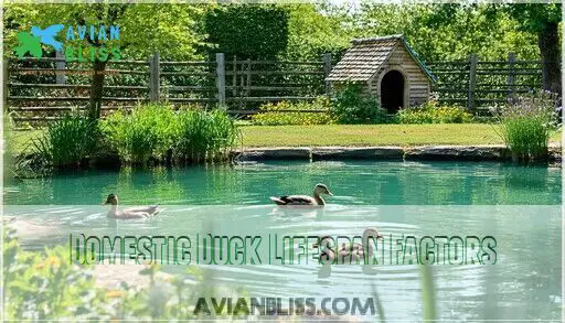How Long Do Ducks Live? Shocking Lifespan Secrets Revealed!
