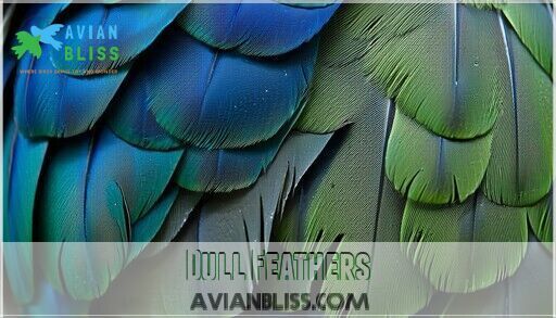 Feather Discoloration in Birds Causes: 6 Warning Signs You Must Know