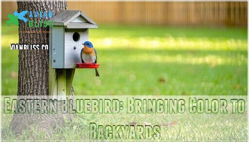 Blue Birds in Florida: 12 Stunning Species Guide (+Photos)