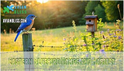 Blue Birds in Virginia: 12 Stunning Species You Must See! (2025)