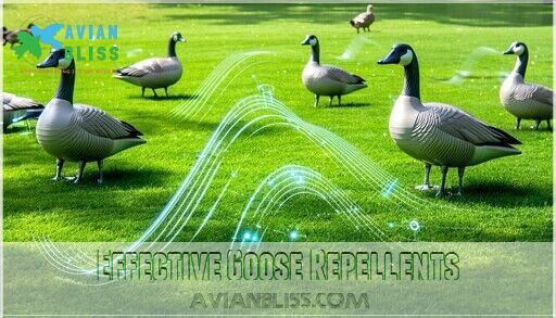 Sounds That Scare Geese: Best Noise Tricks to Keep Geese Off Your Lawn