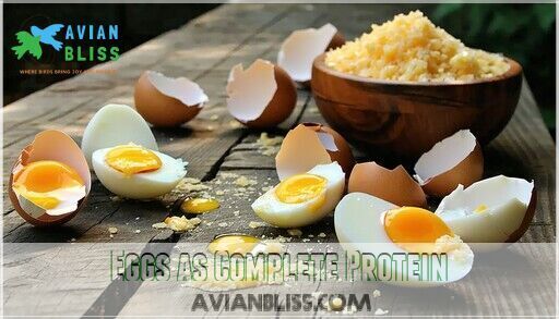 Good Protein Sources for Birds: Complete Nutrition Guide 2025