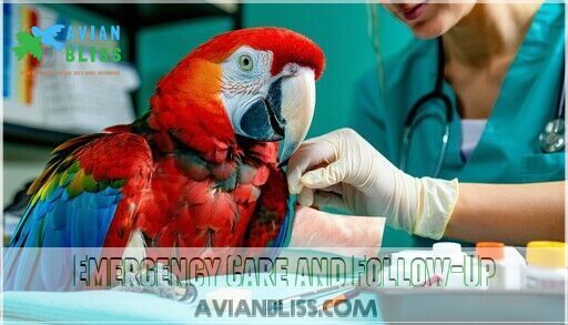Bird Bleeding Wing Treatment: Emergency First Aid Steps That Save Lives