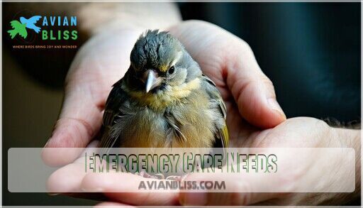 Causes of Bird Injuries: Essential Guide to Prevention & First Aid