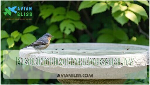 How Deep Should Bird Bath Be? Expert Safety Tips for 2025!