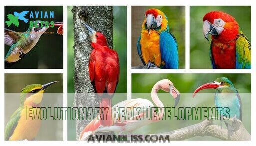 Different Bird Beak Shapes: How Form Follows Function in Nature