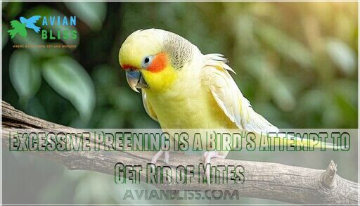 Can Birds Get Fleas? Signs, Symptoms & Treatment Guide