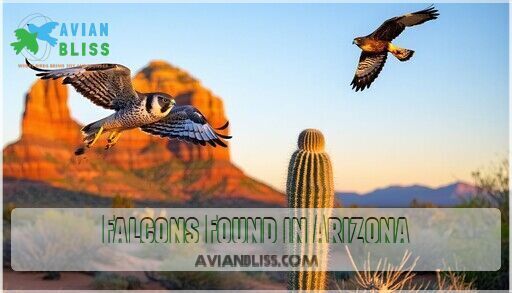 Arizona Birds of Prey: 23 Magnificent Raptors (With Pictures!)